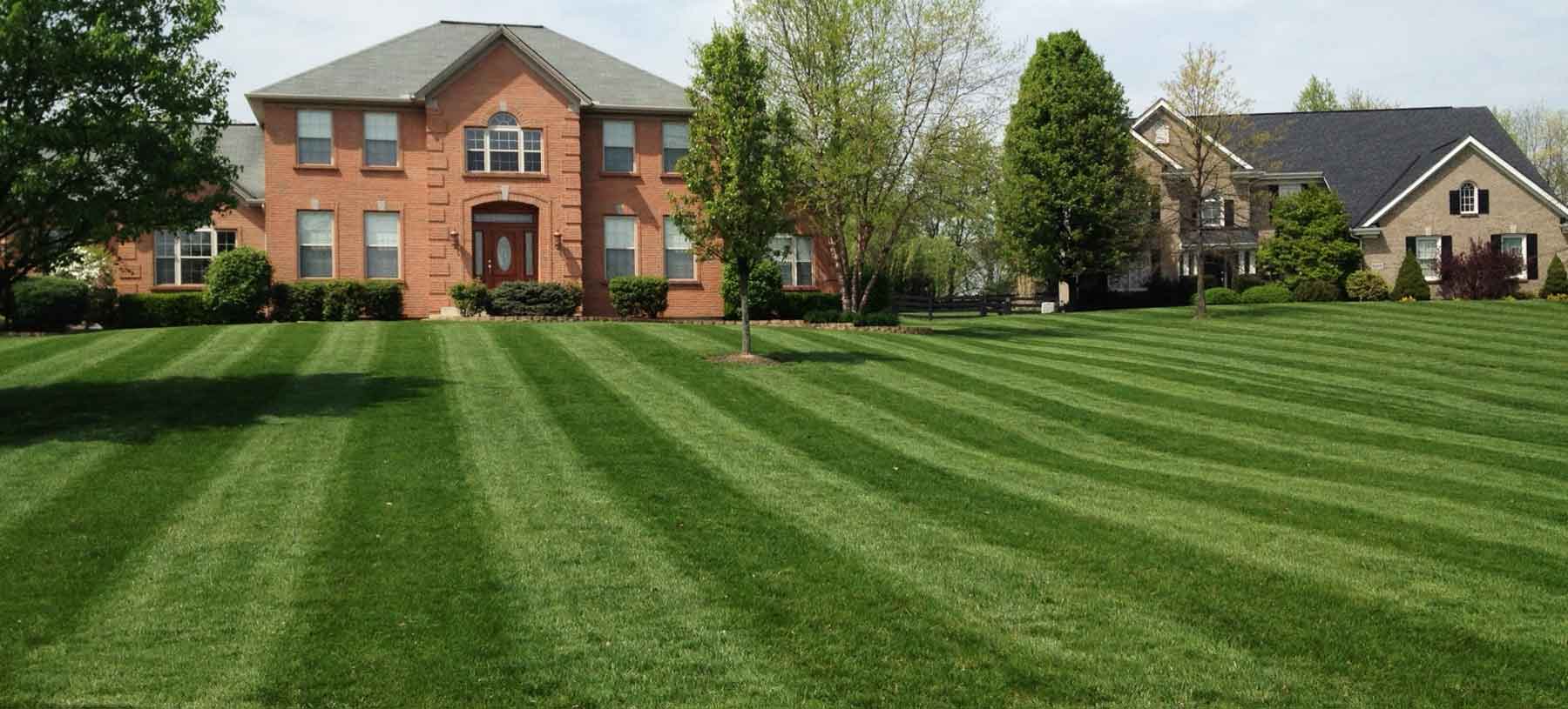 Pro Lawn Care Of N. KY, Inc. mowing information.